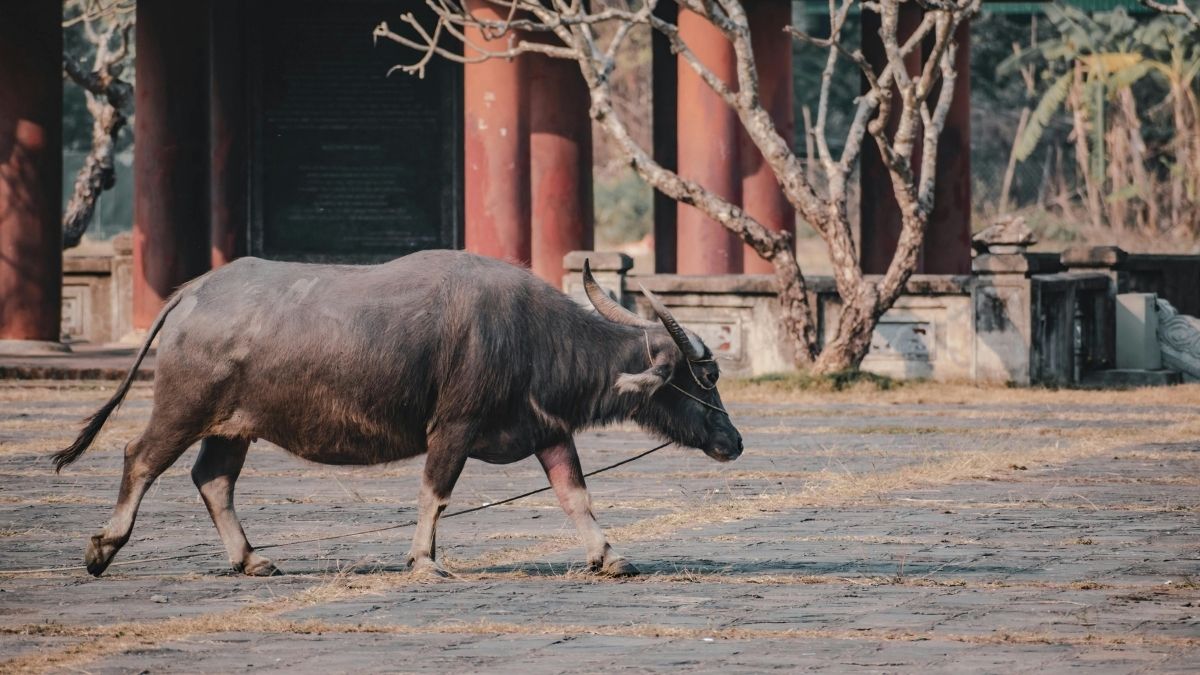 Top 50+ ảnh đẹp Tây Ninh ấn tượng, thu hút